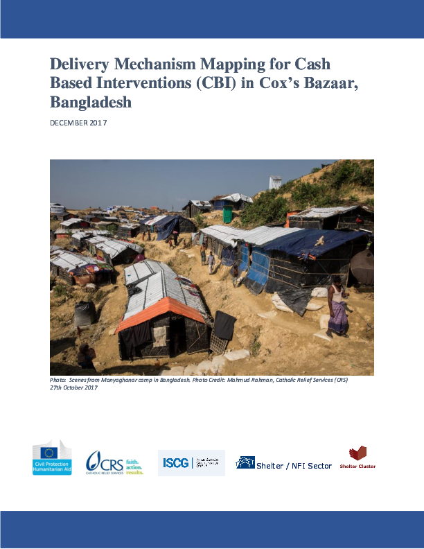 cash based interventions