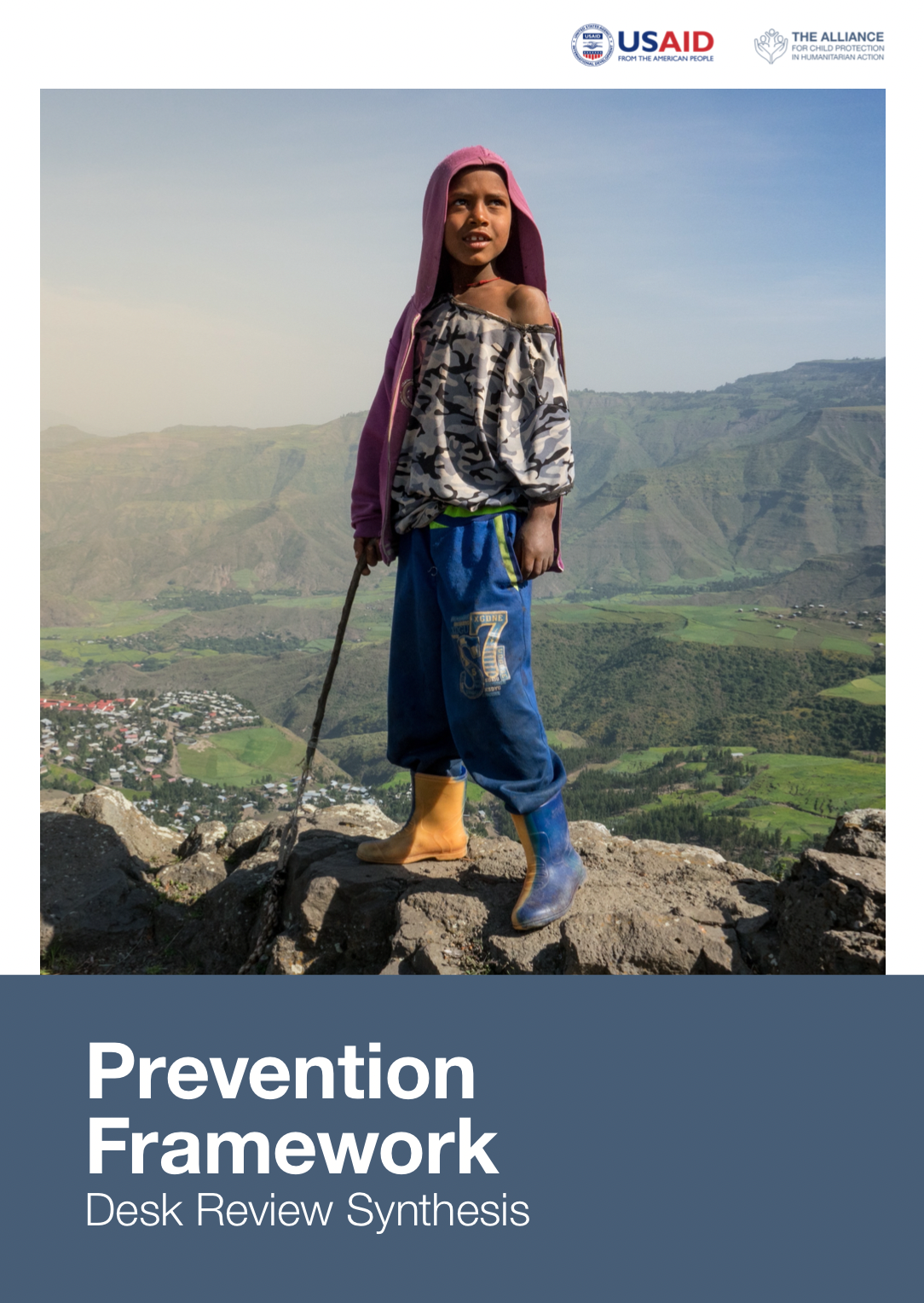 Prevention Framework: Desk Review Synthesis | Alliance CHPA